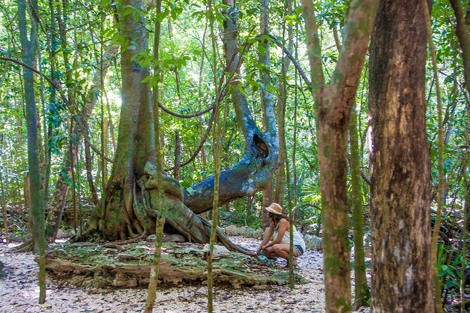 Private tour of Tulum Archaeological Site & Sian Ka'an Muyil - Why This Tour Is a Win for Curious Travelers
