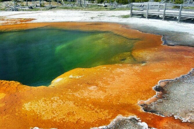 Private Tour of Yellowstone Lower Loop - Final Thoughts: Who Should Consider This Tour?