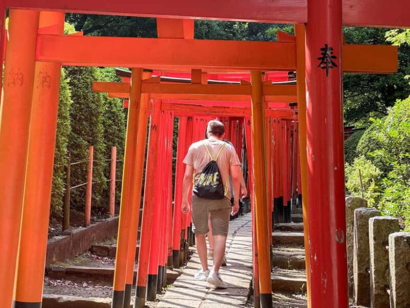 Private Tour : Old Tokyo Cultural Walk in Yanaka and Nezu - FAQ