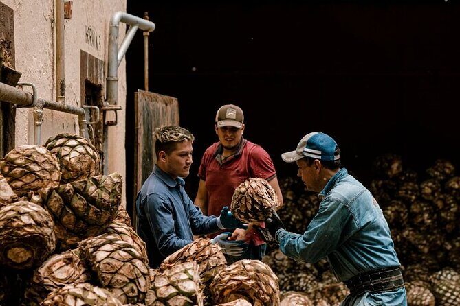 Private Tour one day of Adventure in Tequila and Tequilera Cascahuin - Key Points