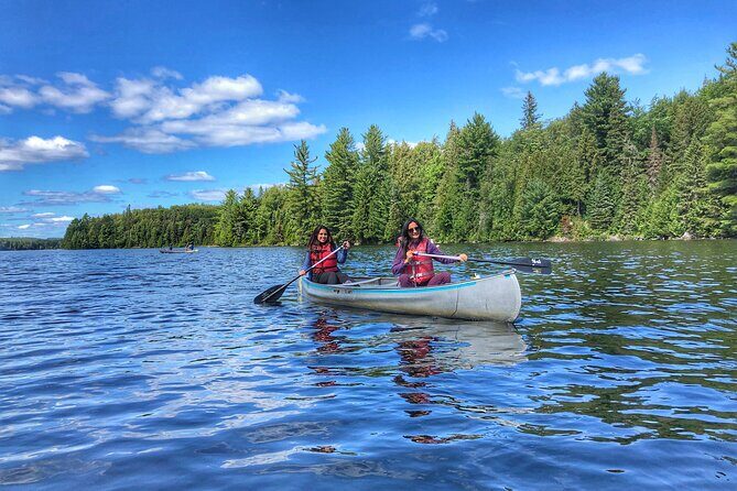 Private Tour or Private Transportation From Toronto Anywhere - Practical Details and Tips