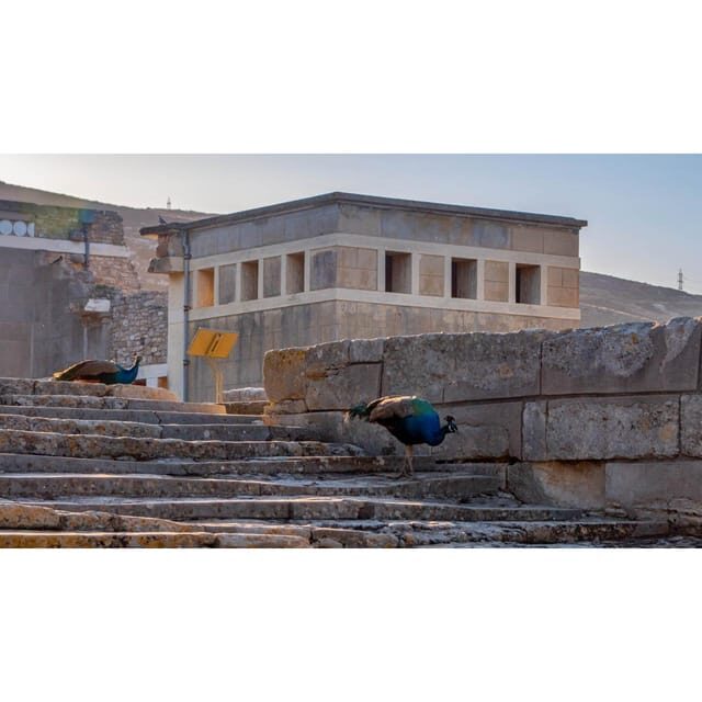 Private Tour: Palace of Knossos - Introduction: A Closer Look at the Palace of Knossos Private Tour