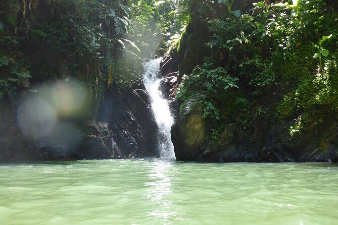 Private Tour Paria Waterfall from Port of Spain - Who Is This Tour Best For?