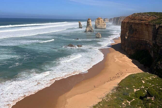 [Private Tour] Penguin Parade Phillip Island Tour. - The Sum Up