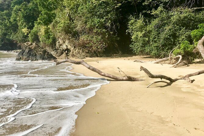 Private Tour Pirate's Bay from Tobago - Pirate’s Bay: The Heart of the Tour