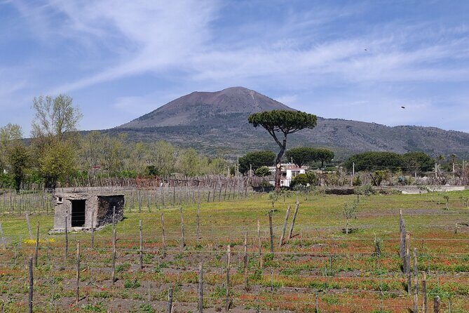 Private Tour Pompeii and Herculaneum - A Detailed Look at the Experience