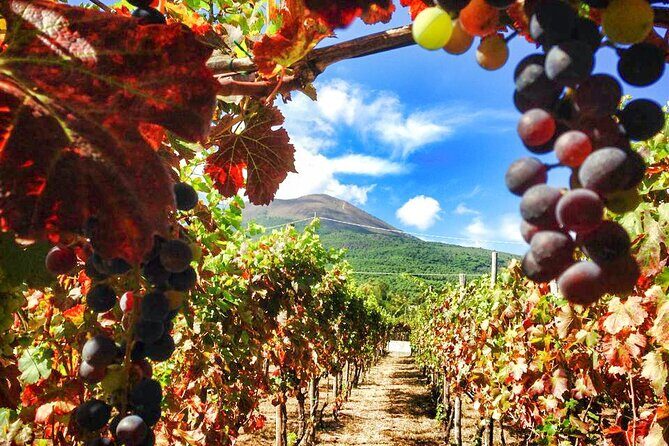 Private Tour: Pompeii and Mount Vesuvius with Wine Tasting - FAQs