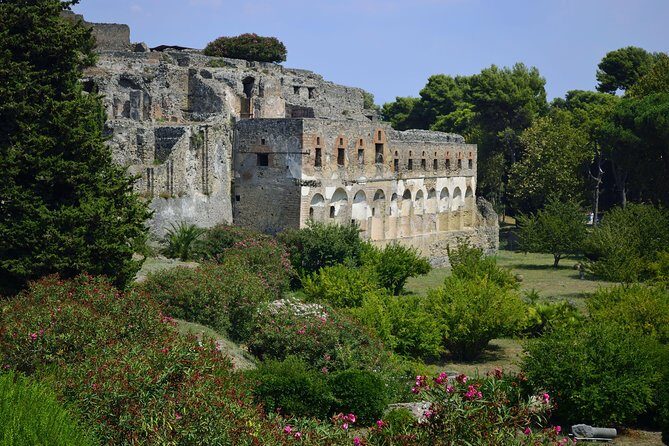 Private Tour: Pompeii Half-Day Trip from Naples - FAQ
