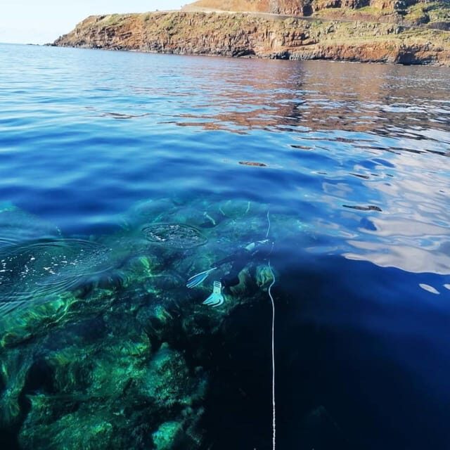 Private tour | Ponta de São Lourenço (Scuba & Snorkeling) - FAQ