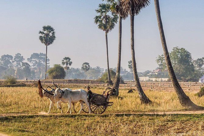 Private tour: Preah Khan Kompong Svay and Sambor Prei kuk Temples - Introduction