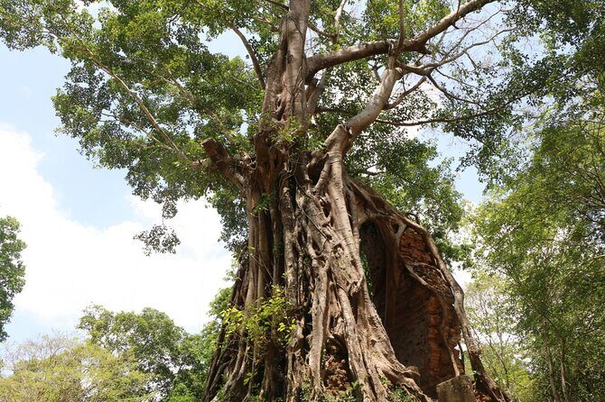 Private tour: Preah Khan Kompong Svay and Sambor Prei kuk Temples - FAQ