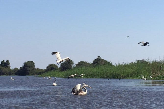 Private Tour Prek Toal Bird Sanctuary Off Beaten Track - Key Points