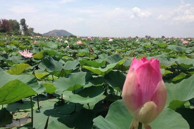 Private Tour Prek Toal Bird Sanctuary Off Beaten Track - Exploring the Itinerary in Detail