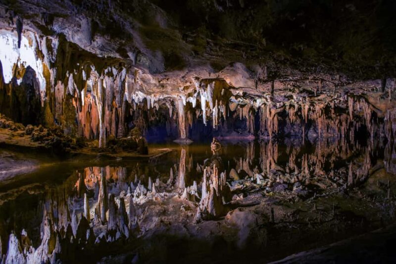 Private Tour: Private Tour: Waitomo Caves (Flexible) - What Does This Tour Offer Compared to Others?