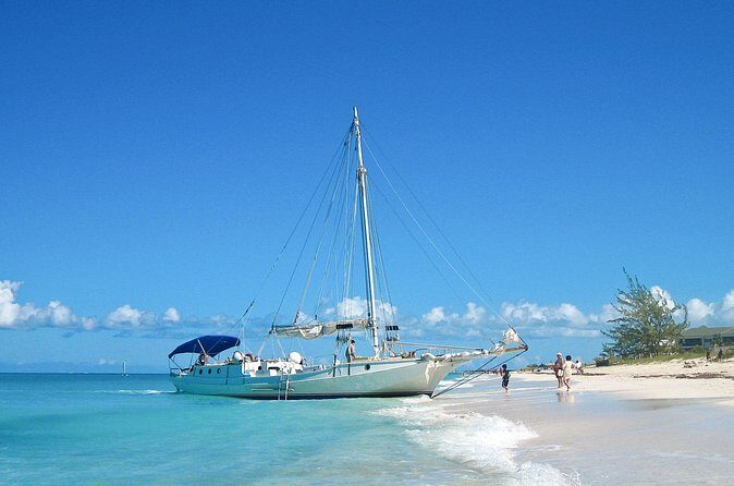 Private Tour Providenciales with Snorkeling and Iguana Island - Final Thoughts