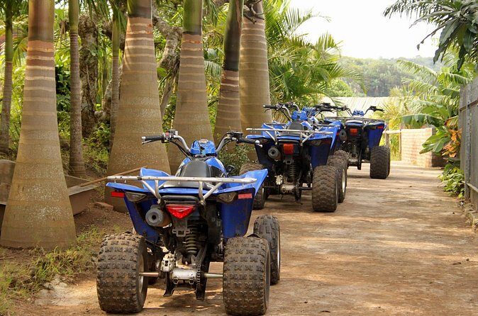 Private Tour Quads ATV Saint-Martin - Return and End of the Day