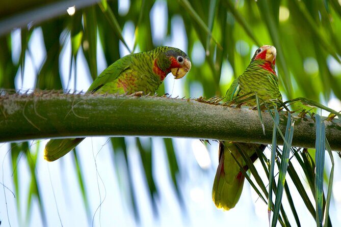 Private Tour Queen Elizabeth Botanic Park & Pedro St James Castle - Who Will Love This Tour?