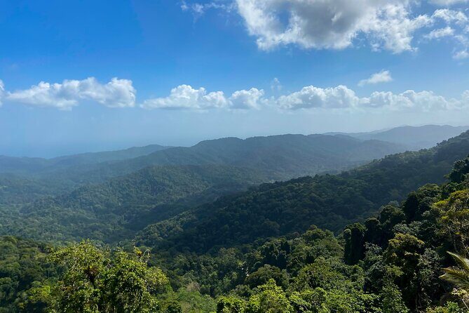 Private Tour Rainforest from Tobago - FAQs