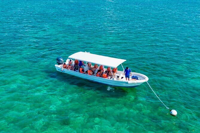 Private Tour Reefs and Corals Puerto Morelos Snorkel Lunch - Exploring the Reefs and Corals of Puerto Morelos: An Authentic Day Out