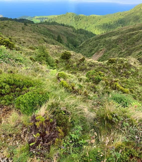 Private Tour Ribeira Grande: Salto do Cabrito Hike - A Look at the Itinerary: What Makes This Tour Special