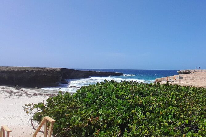 Private Tour - Rock formations and Turtle Viewing - Frequently Asked Questions