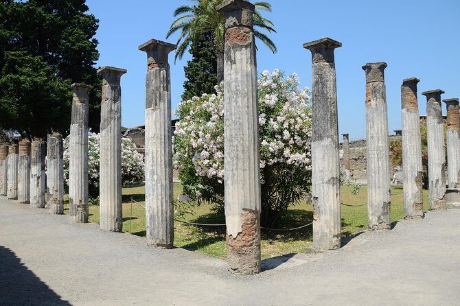 Private Tour Rome to Pompeii in private vehicle or fast train - In Closing