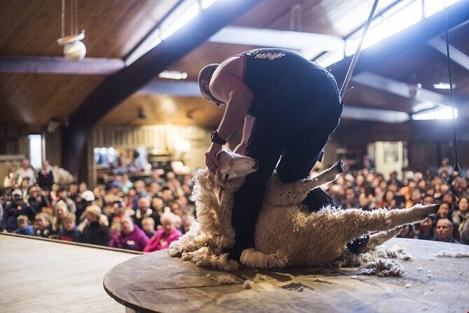 Private Tour - Rotorua Adventures Day Trip From Auckland - The Sum Up: Who Is This Tour Best For?