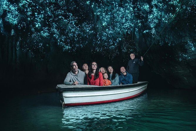 Private Tour: Rotorua and Waitomo Caves Day Trip from Auckland - Who Should Consider This Tour?