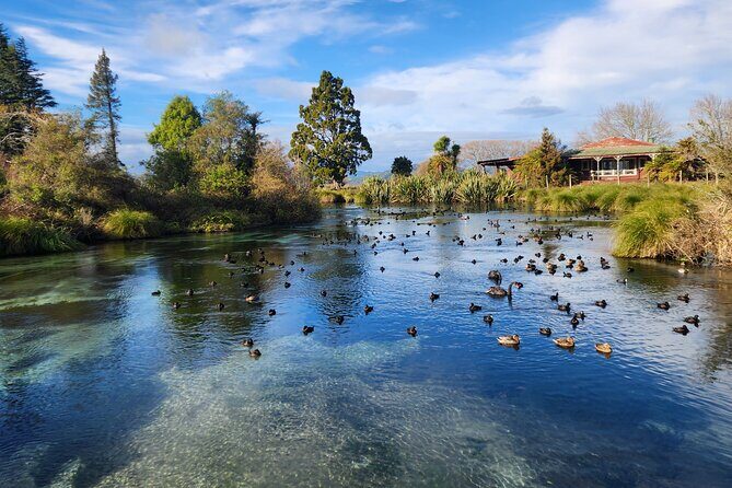 Private Tour Rotorua + Blue springs + WaiOtapu + Redwood forest - An In-Depth Look at the Rotorua Private Tour