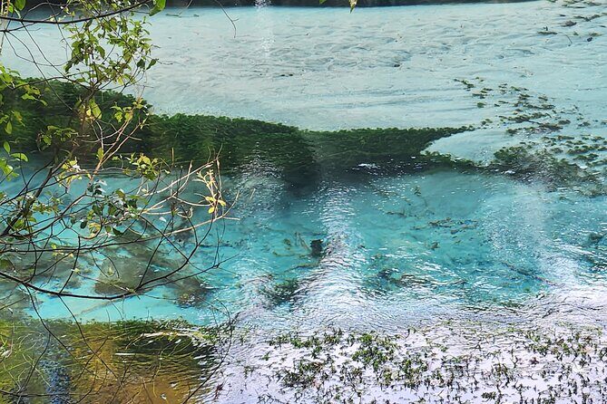 Private Tour Rotorua + Blue springs + WaiOtapu + Redwood forest - What’s Included and What’s Not
