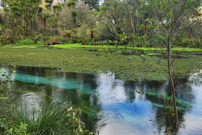 Private Tour Rotorua + Blue springs + WaiOtapu + Redwood forest - Practical Tips for Travelers