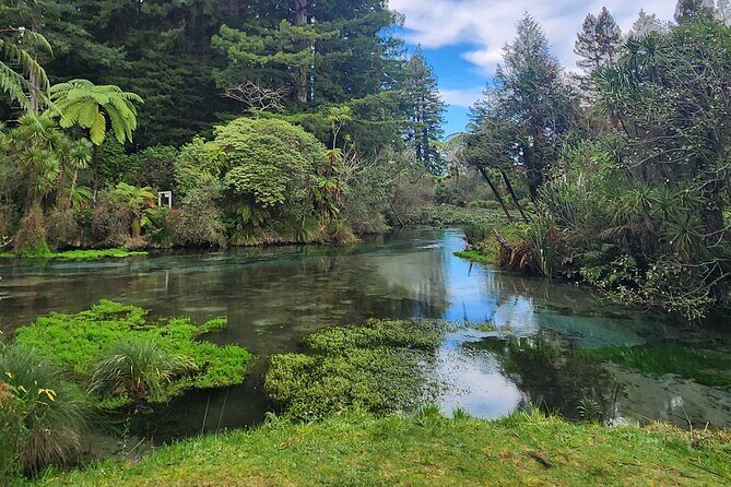 Private Tour Rotorua + Blue springs + WaiOtapu + Redwood forest - Final Thoughts