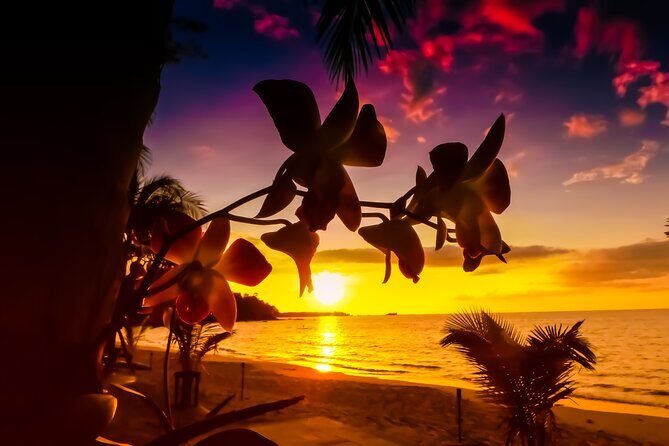 Private Tour Saint Lucia Beachfront Sunset - Final Thoughts