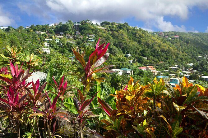Private Tour Saint Lucia Unique Cultural Immersion Experience - What Travelers Can Expect and Why It Matters