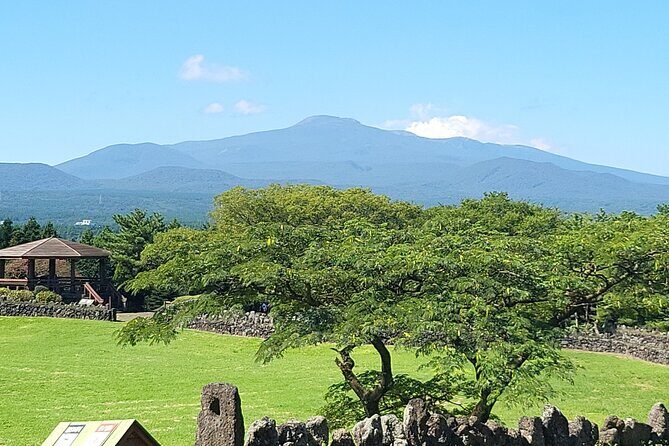 Private Tour Sangumburi Crater & Jeju stone park in jeju island - Who Should Consider This Tour?