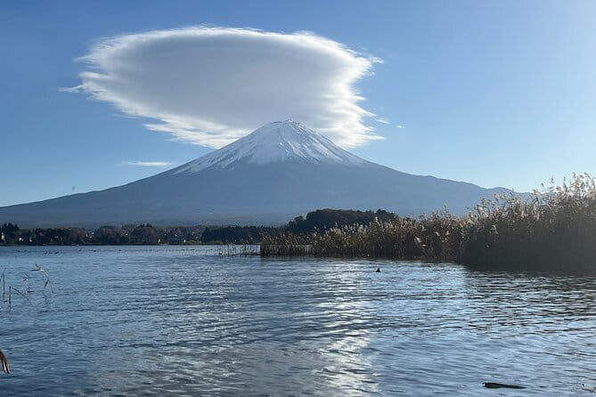 Private tour - Scenic Fuji Escape: Hakone, Peace Park & More - Key Points
