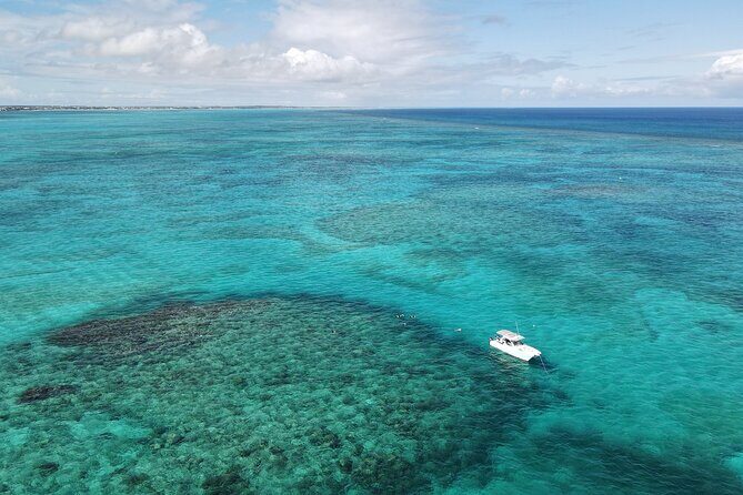 Private Tour Seaside scavenger hunt, Hunt for conch - A Detailed Look at the Private Seaside Scavenger Hunt & Hunt for Conch Tour in Providenciales