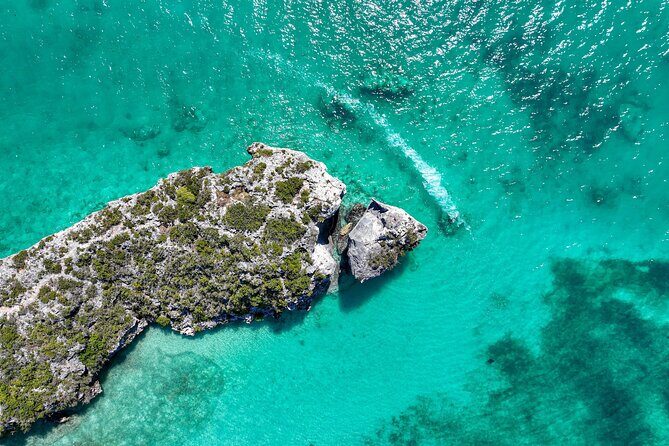 Private Tour Seaside scavenger hunt, Hunt for conch - Practical Tips for Future Participants