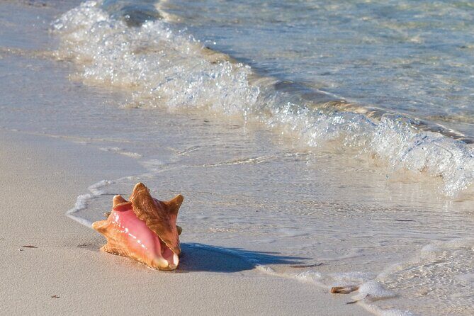 Private Tour Seaside scavenger hunt, Hunt for conch - FAQ