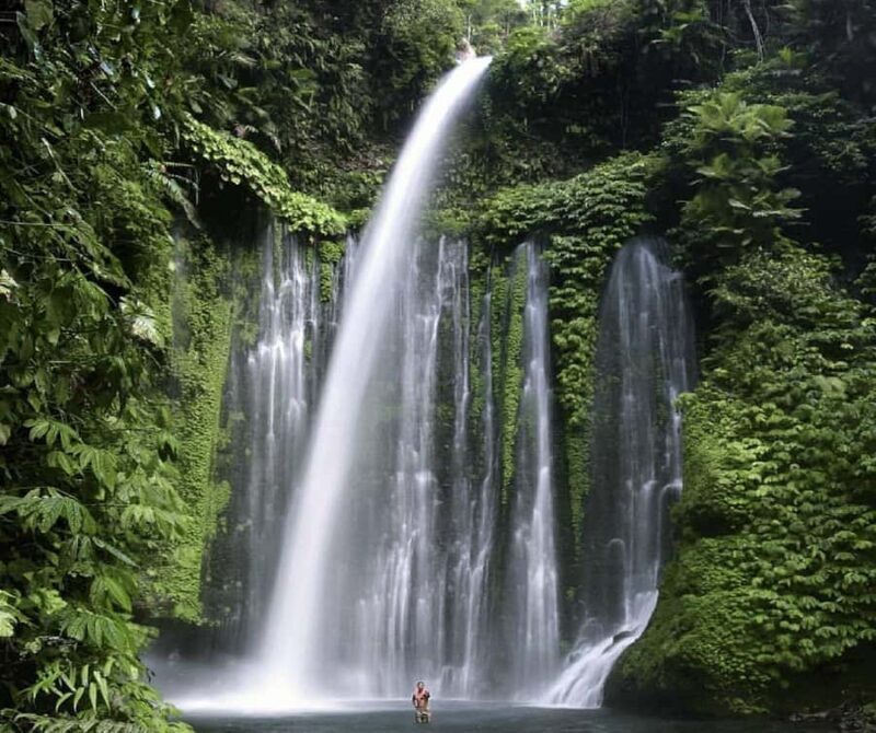 "Private Tour: Sendang Gile, Tiu Kelep Waterfall & Sembalun" - Key Points