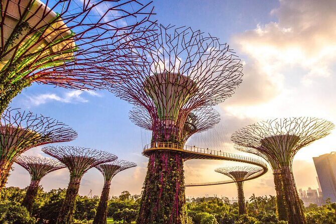 Private Tour Singapore Explorer Pass with Dukw - A Detailed Look at the Private Tour Singapore Explorer Pass with Dukw