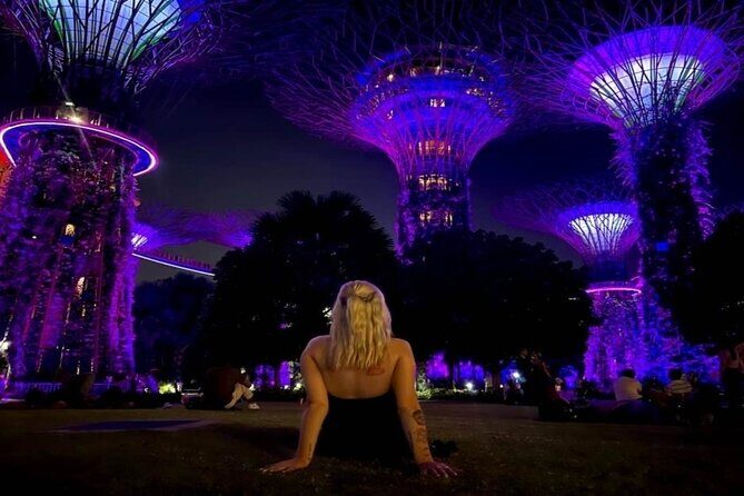 Private Tour: Singapore River Cruise & 2 Top-visit Light shows - Key Points