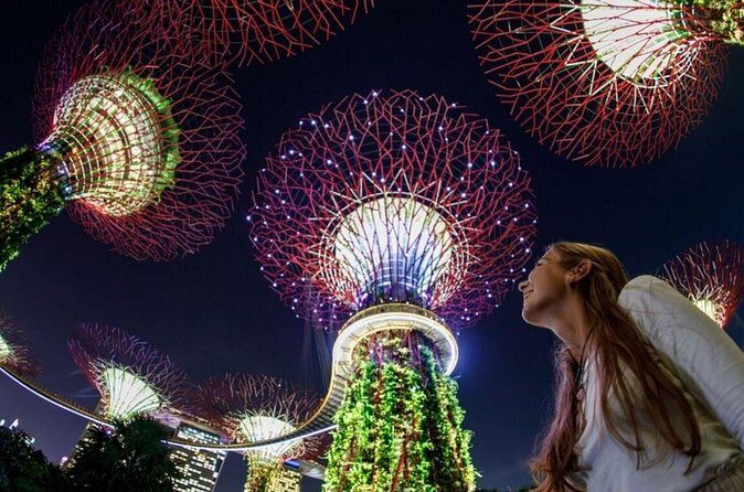 Private Tour: Singapore River Cruise & 2 Top-visit Light shows - The Sum Up
