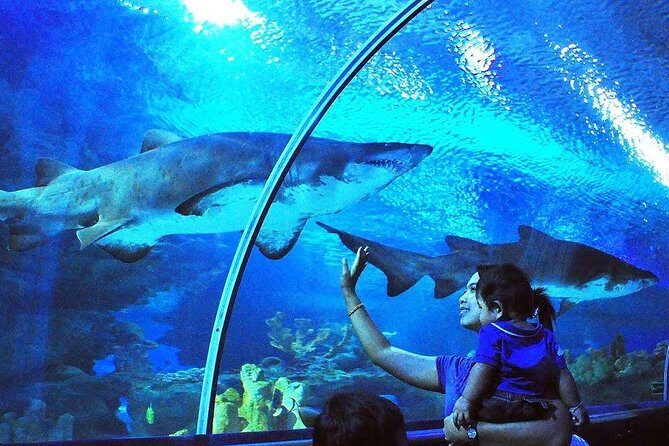 Private Tour : Skip The Line Petronas Twin Towers, Petrosains & Aquaria KLCC - The Ultimate Guide to the Kuala Lumpur Private Tour