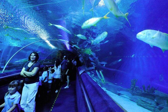 Private Tour : Skip The Line Petronas Twin Towers, Petrosains & Aquaria KLCC - FAQ
