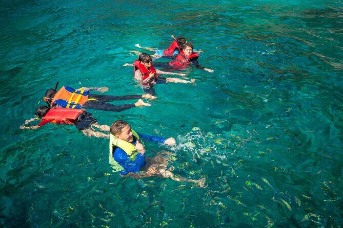 Private Tour Snorkeling in Saint-Martin - Key Points