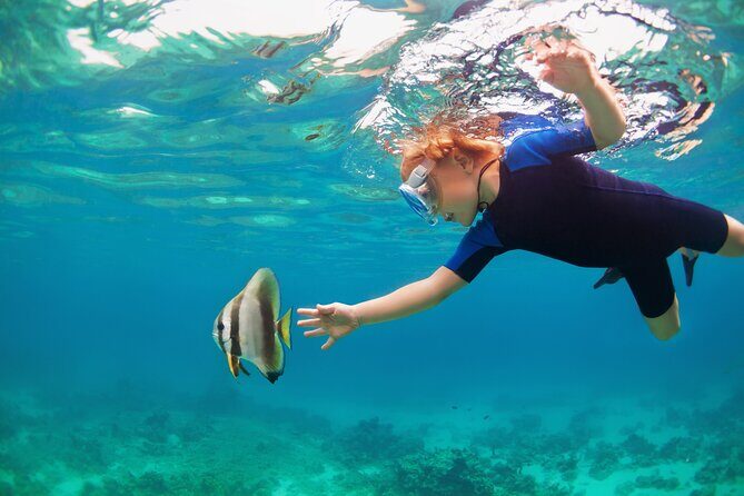 Private Tour Snorkeling to Explore Hidden Coral Spots - Key Points