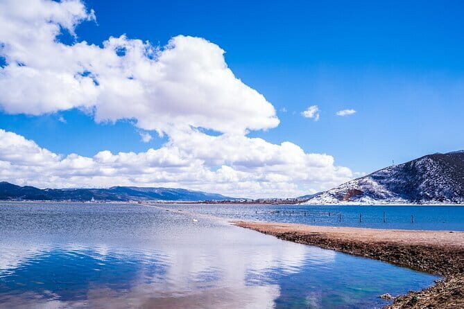 Private tour Songzanlin Monastry & Tibetan lunch from Zhongdian - Traveler Feedback and Authentic Insights