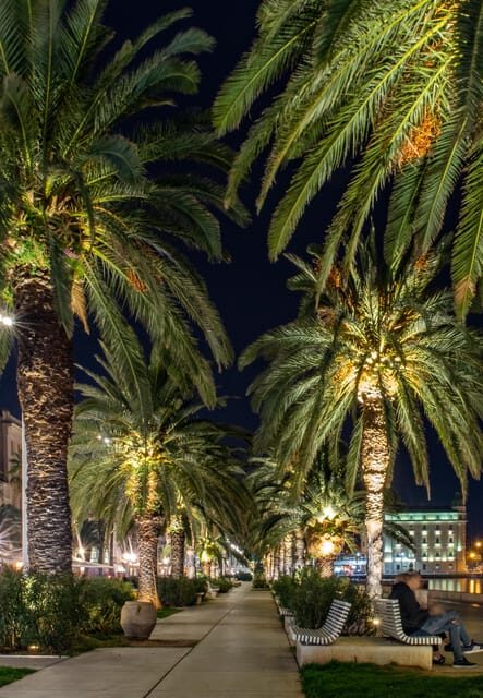 Private tour: Split by night - Who should consider this tour?