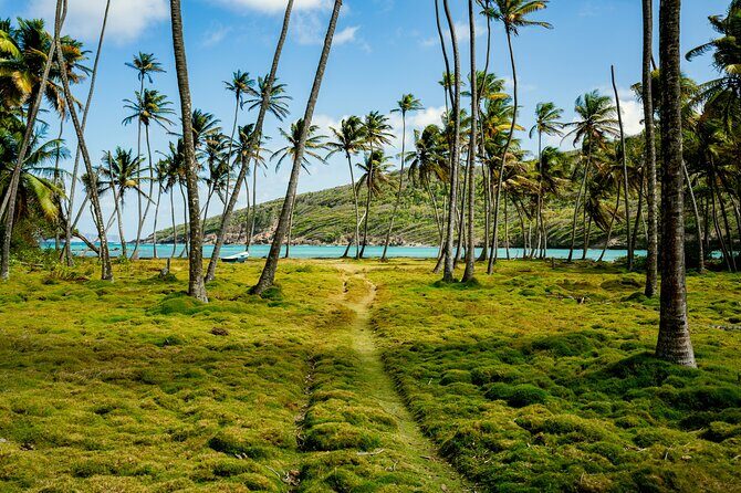 Private Tour St Vincent Half Day - Final Thoughts